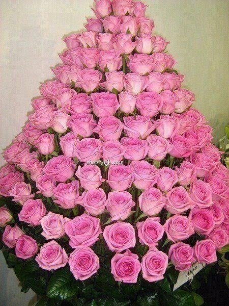 Flowers :: Lovely Pink 200 Roses